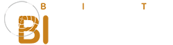 BITEAMS - Business Intelligence Teams